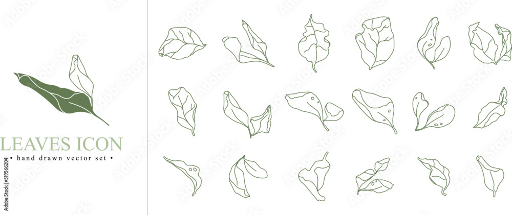 Hand drawn vector set icon collection with line leaves isolated on ...