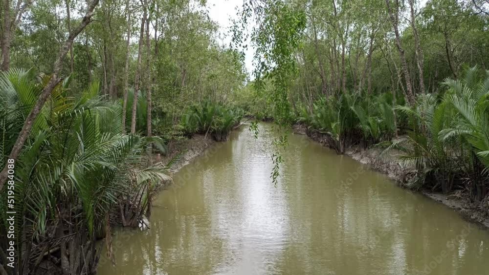 wild, rainforest, ecosystem, tscenic, thailand, jungle, tropical ...
