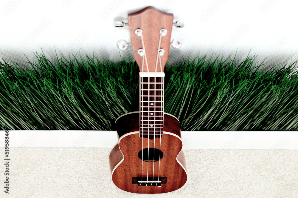 The ukulele is brown. String musical instruments. A small copy of a ...