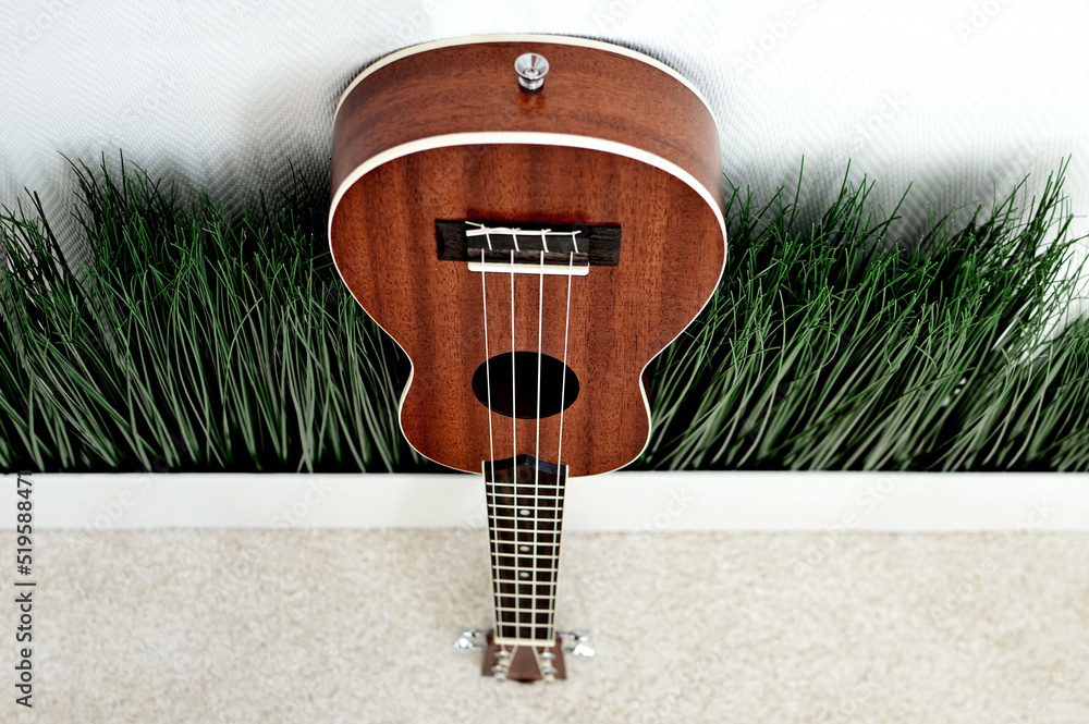 Inverted red ukulele. String musical instruments. A small copy of a ...