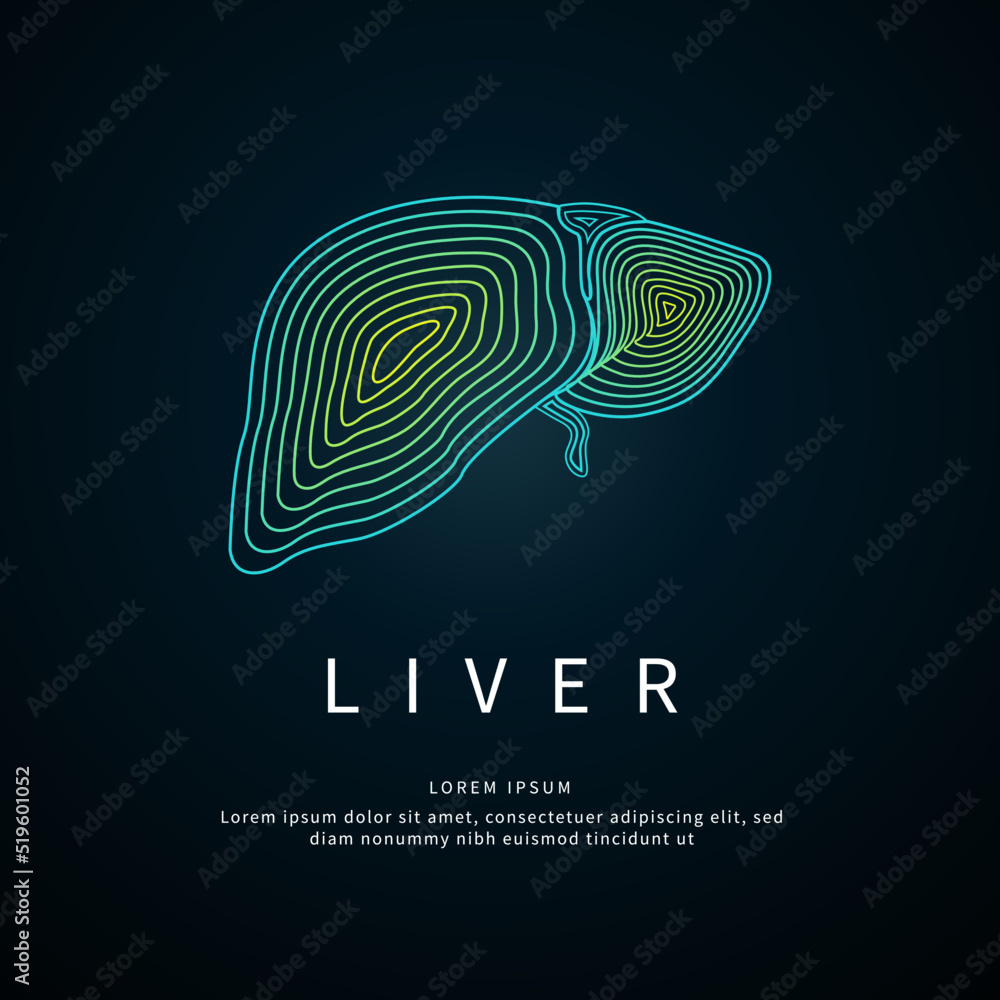 Vector logo liver color silhouette on a dark background. Human liver ...
