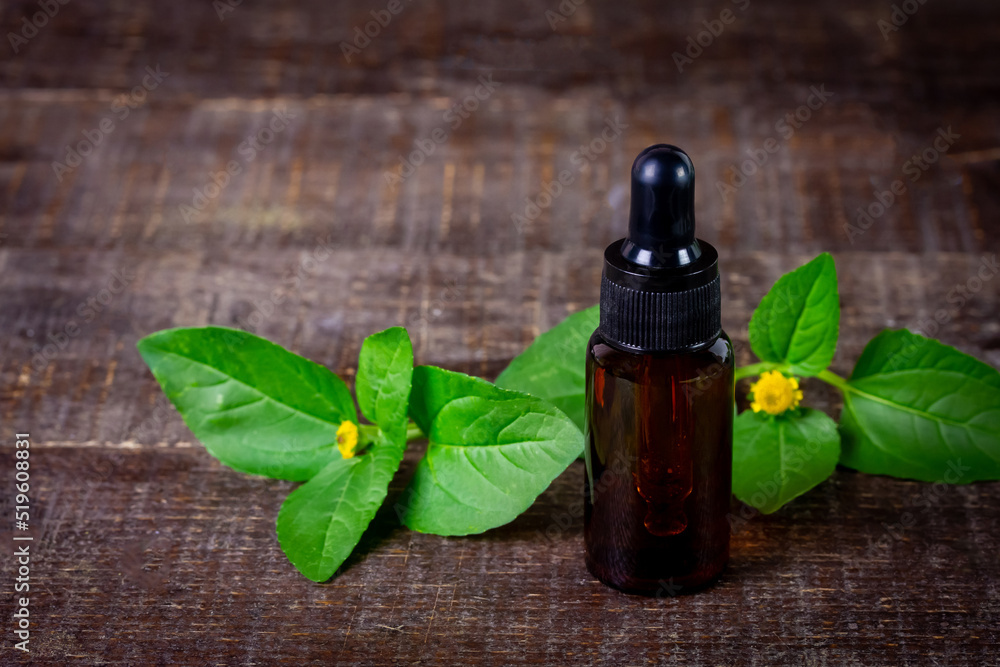 Bottle of Acmella Oleracea, Paracress or Toothache plant extract on ...