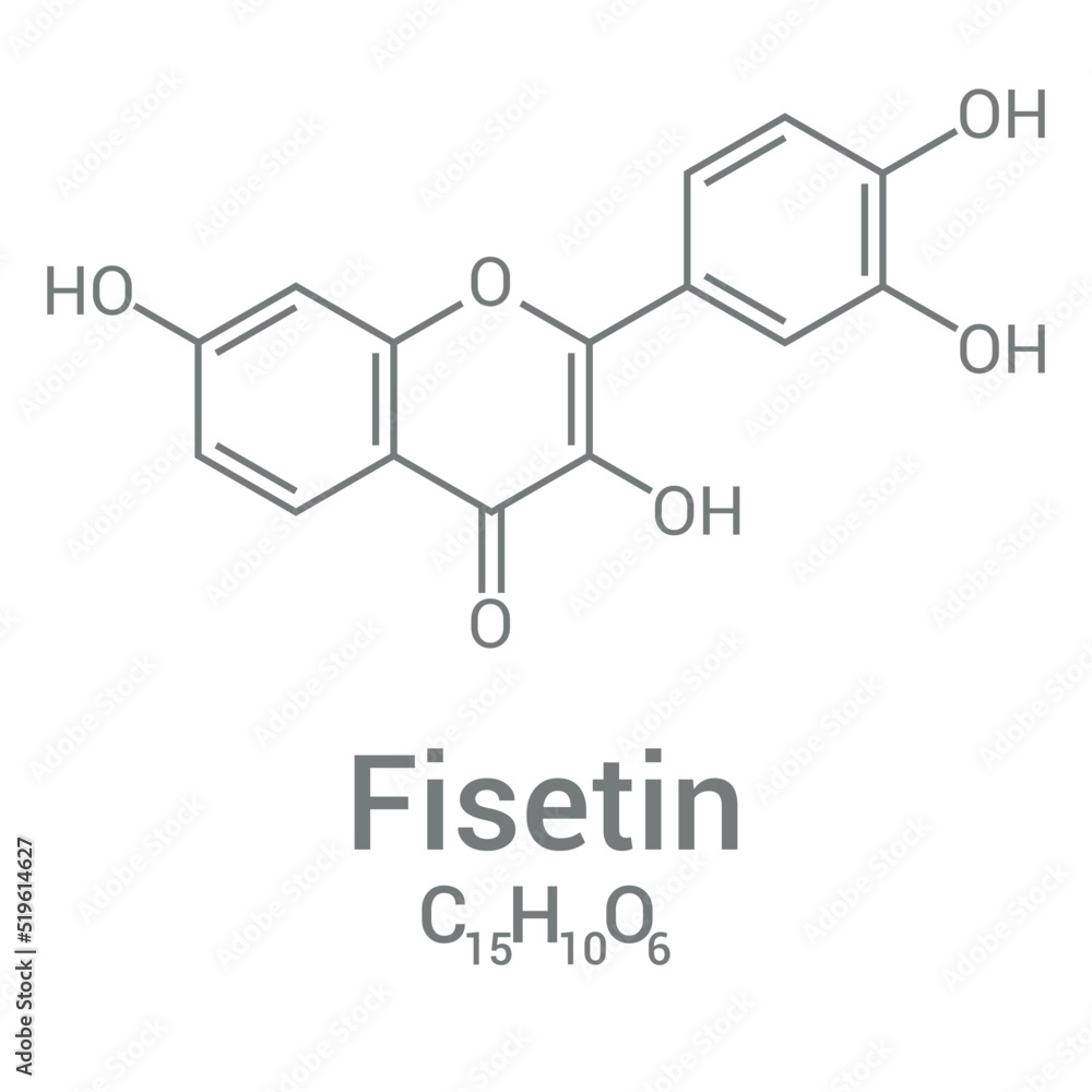 chemical structure of Fisetin (C15H10O6) Stock Vector | Adobe Stock