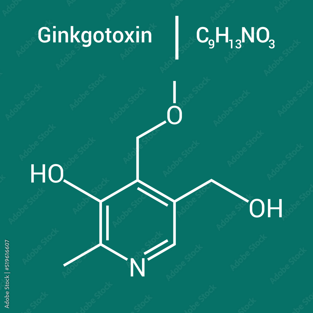 chemical structure of Ginkgotoxin (C9H13NO3) Stock Vector | Adobe Stock