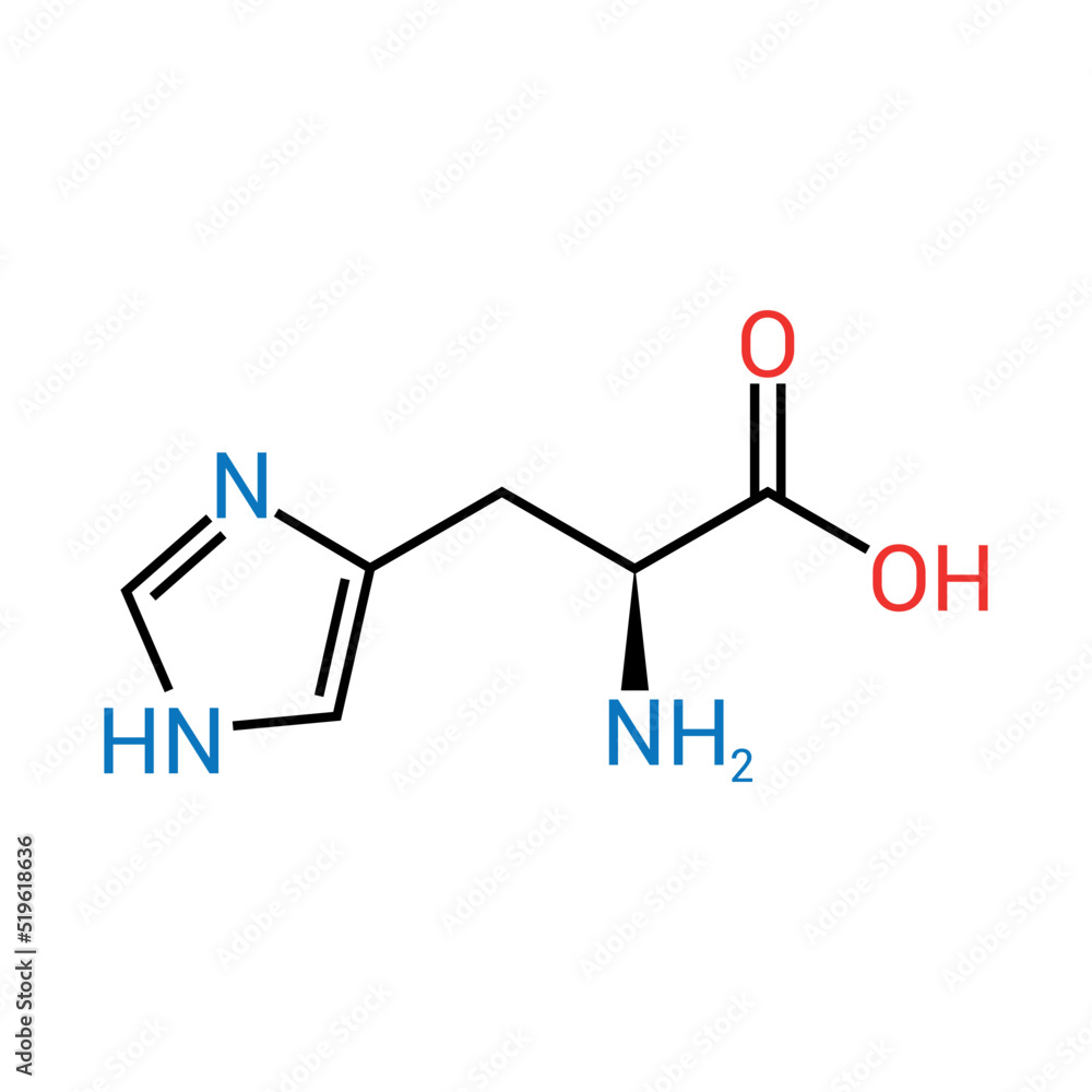 chemical structure of Histidine (C6H9N3O2) Stock Vector | Adobe Stock