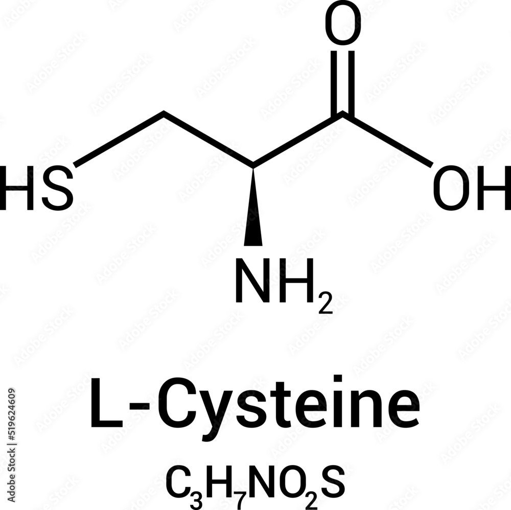 chemical structure of L-cysteine (C3H7NO2S) Stock Vector | Adobe Stock