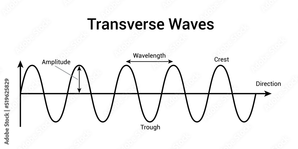 label the parts of a wave vector illustration isolated on white ...