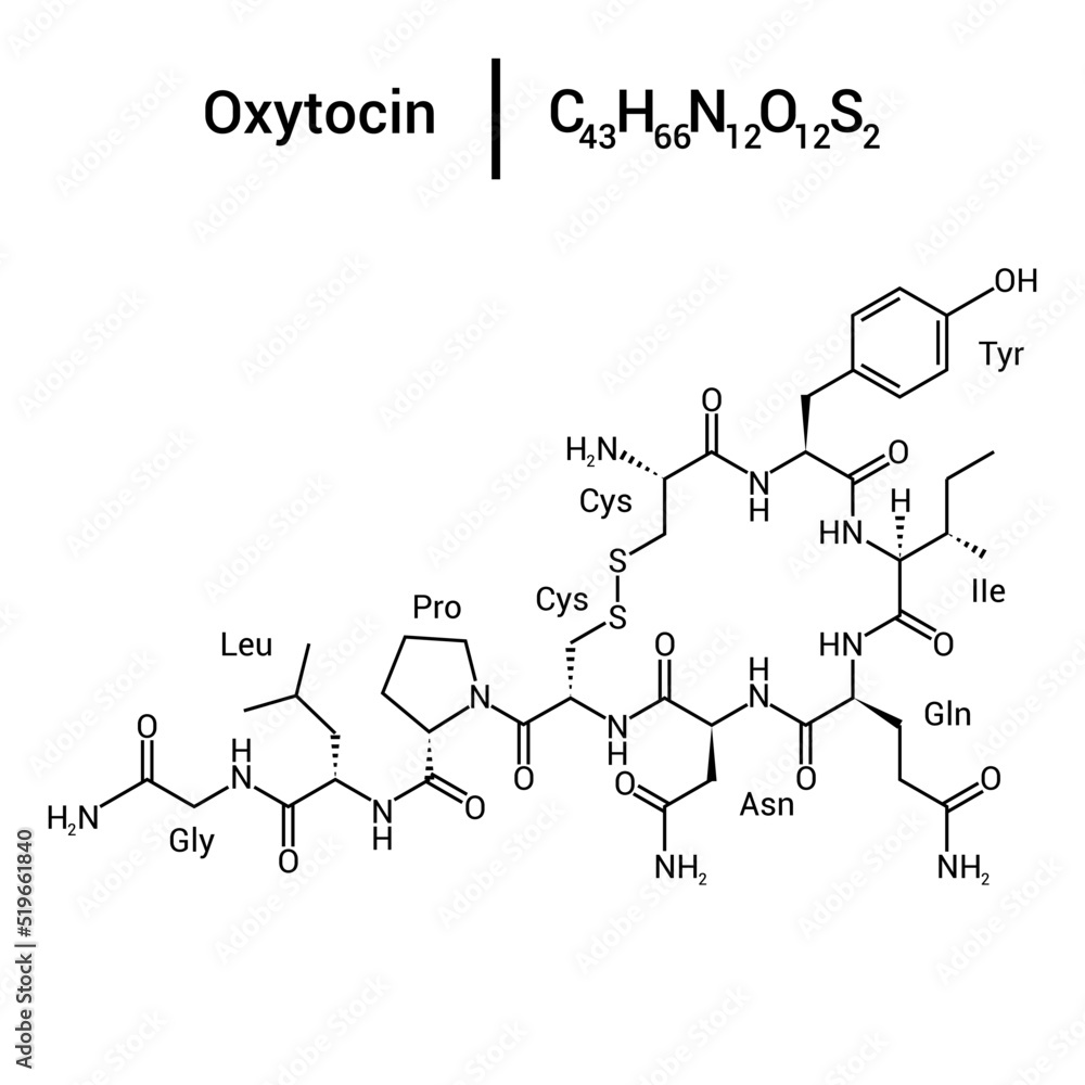 chemical structure of Oxytocin (C43H66N12O12S2) Stock Vector | Adobe Stock