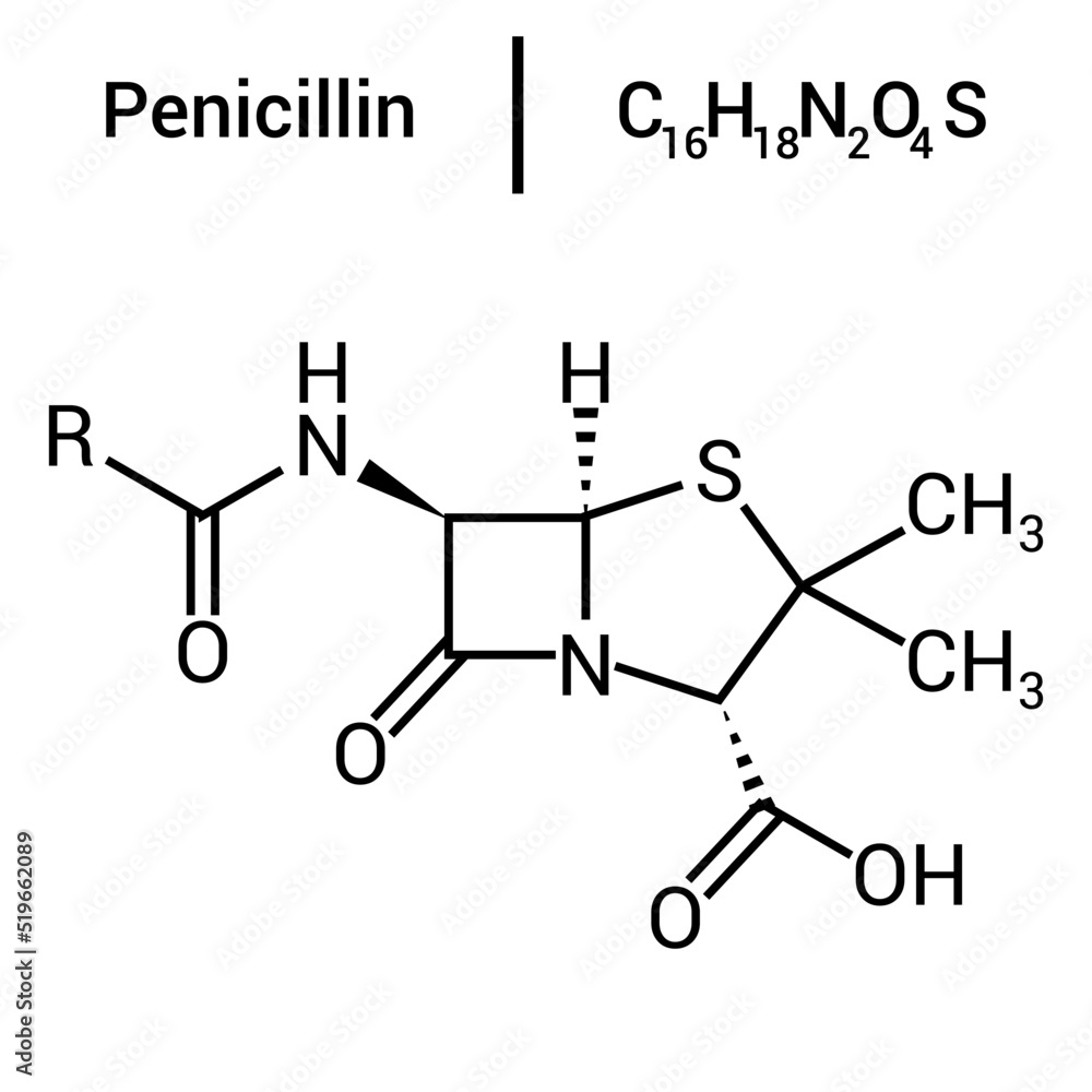 chemical structure of Penicillin (C16H18N2O4S) Stock Vector | Adobe Stock
