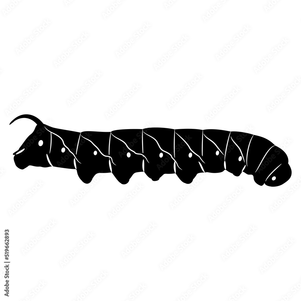 Caterpillar of a privet hawk moth. Sphinx ligustri. Psilogramma ...