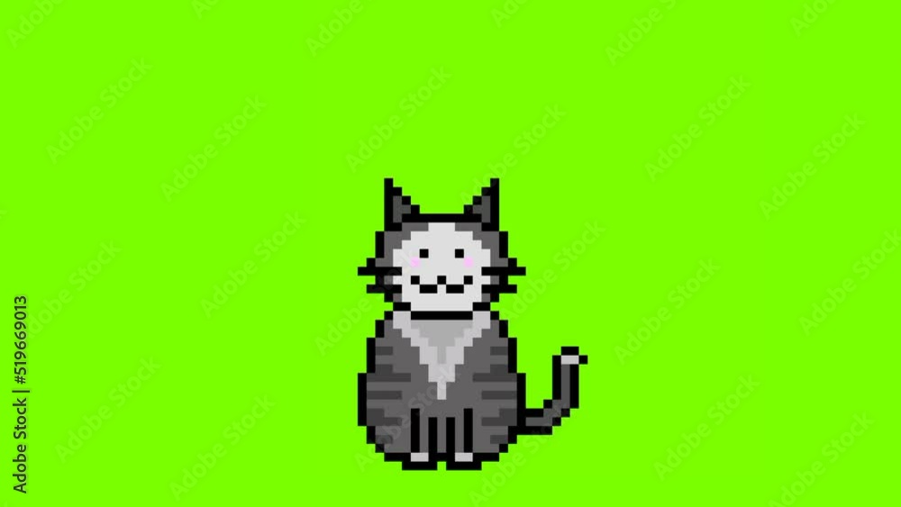 Cute cat with empty thinking bubble pixel art on green screen animation ...