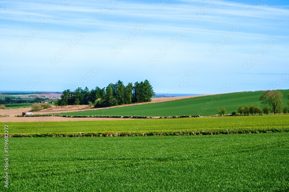 Green fields of a Scottish farm, with crops, grass, rock walls, trees ...