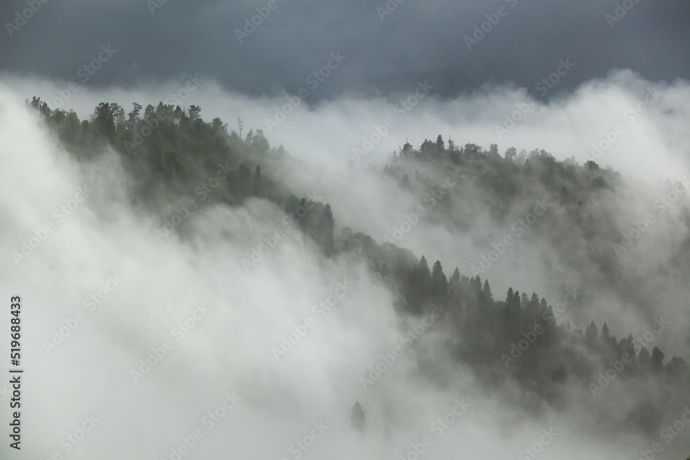 Cloud formation in amazon rainforest during monsoon wet season woods on ...