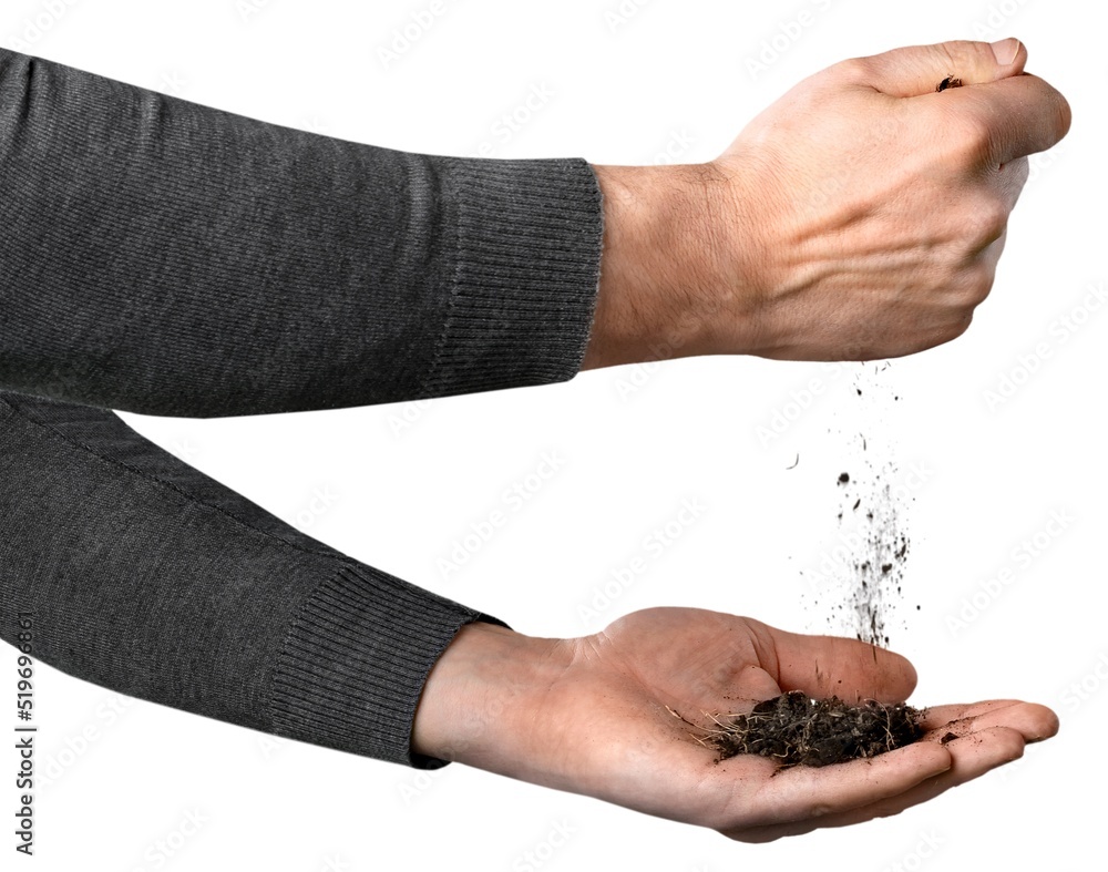 Soil in hands for check the quality. Soil before seed plant. Future ...