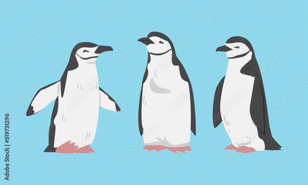 Chinstrap Penguin Clip Art