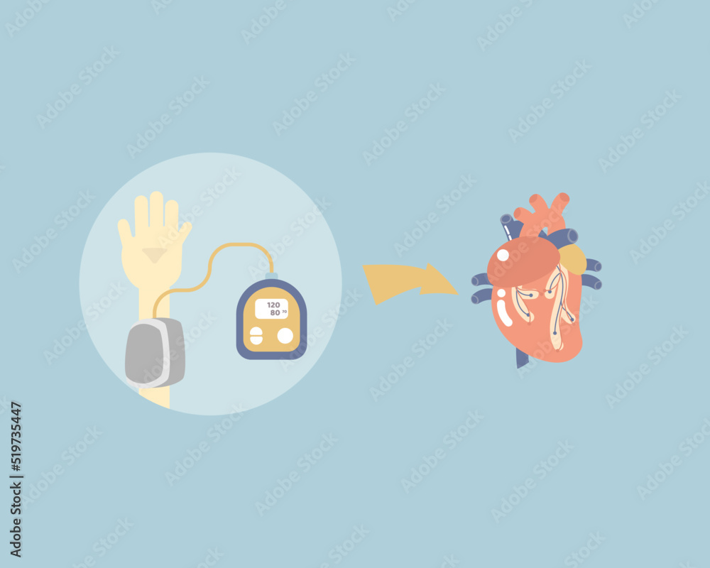 measuring blood pressure and heart anatomy, health care, medical ...