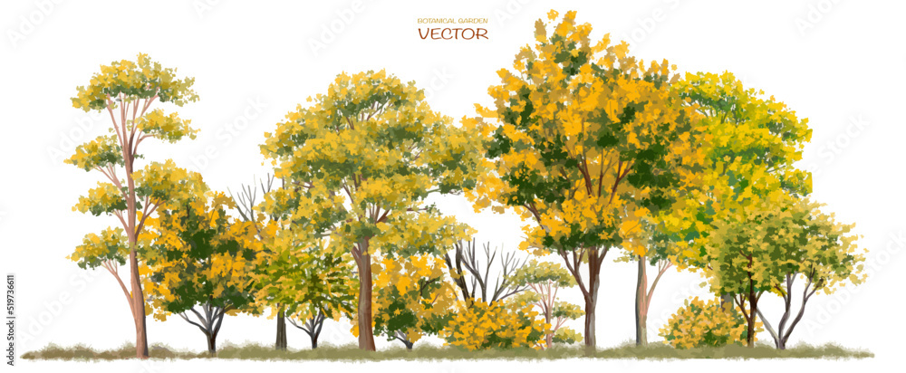 Vector watercolor blooming flower tree side view isolated on white ...