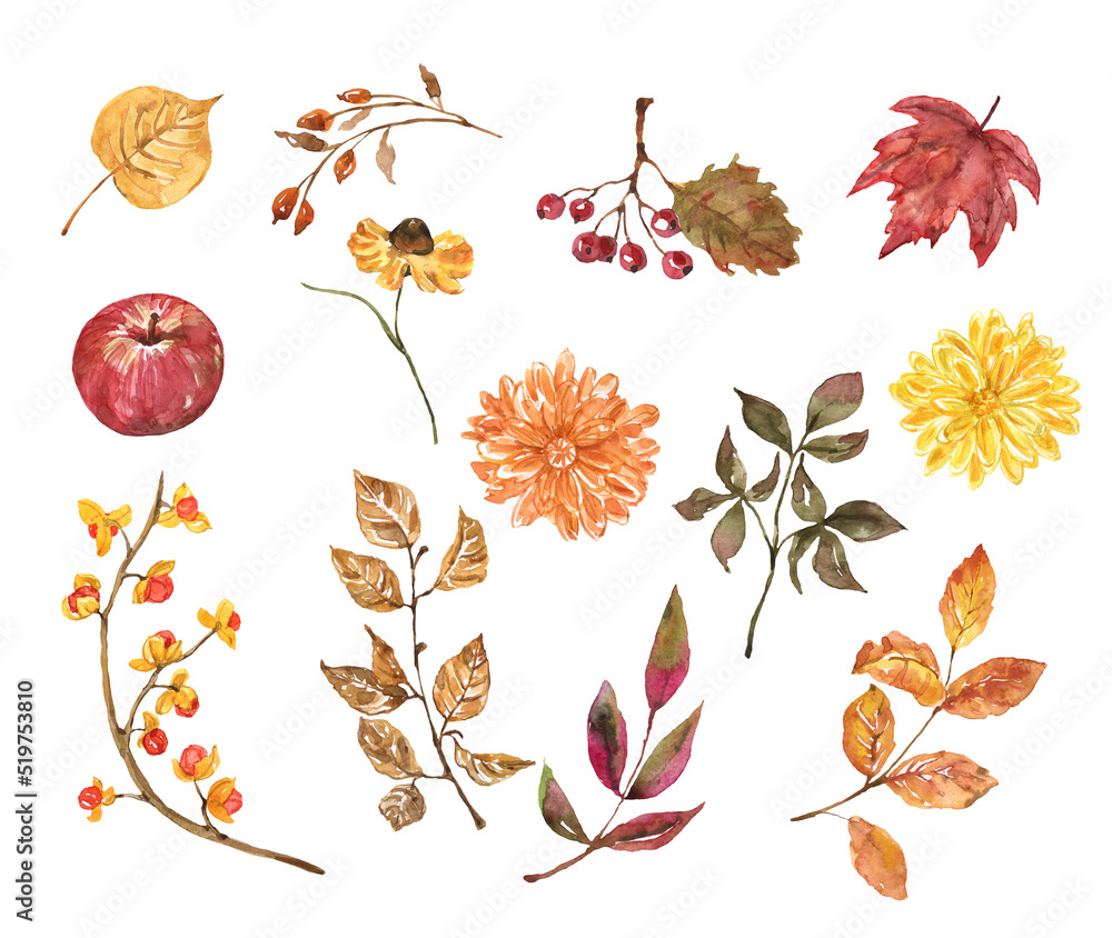 Watercolor fall plants illustration. Hand-painted leaves, foliage ...