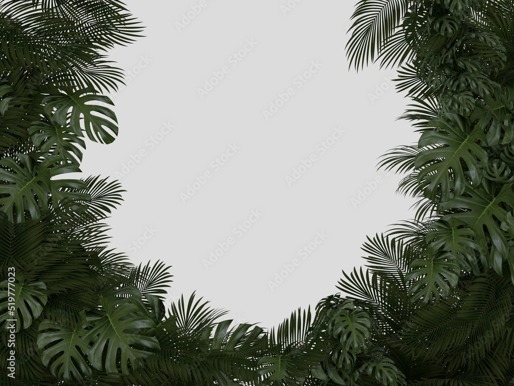 Monstera Deliciosa green leaves dark tones background green leaf ...