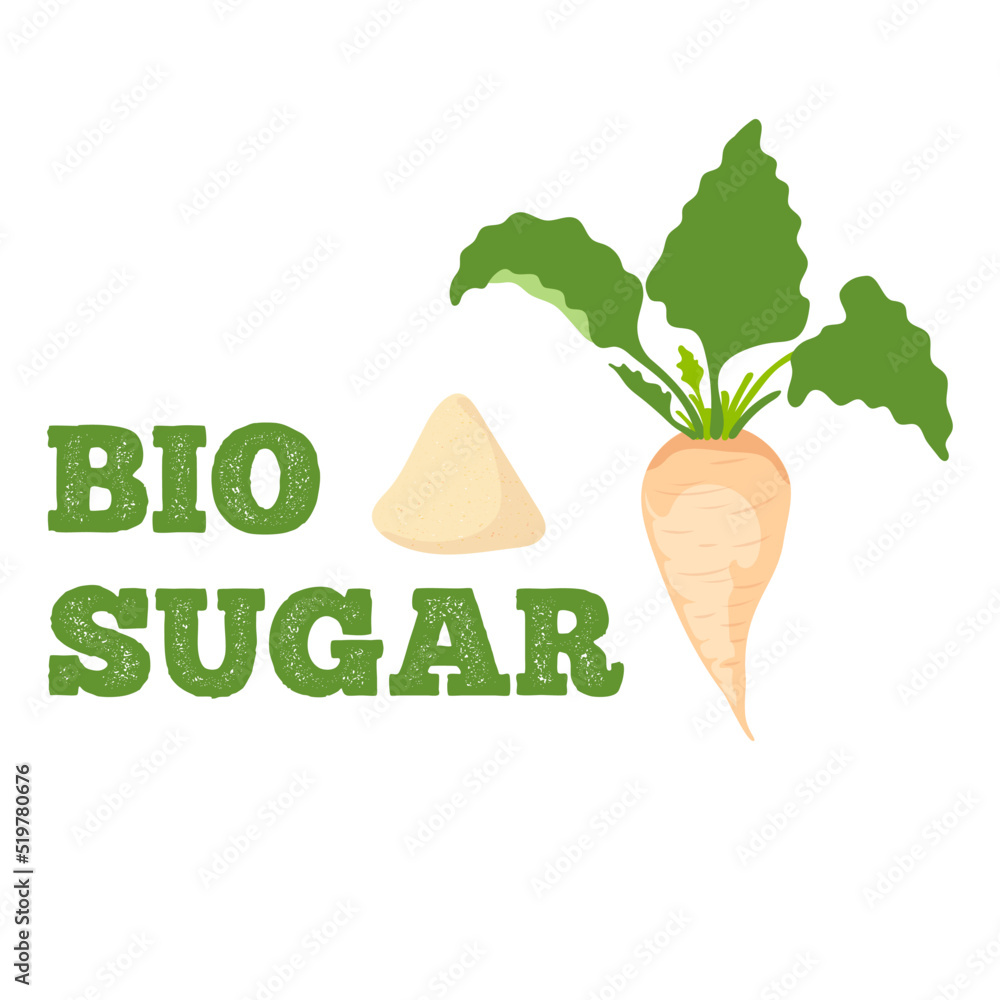 Bio sugar vector illustration isolated on white background, white beet ...