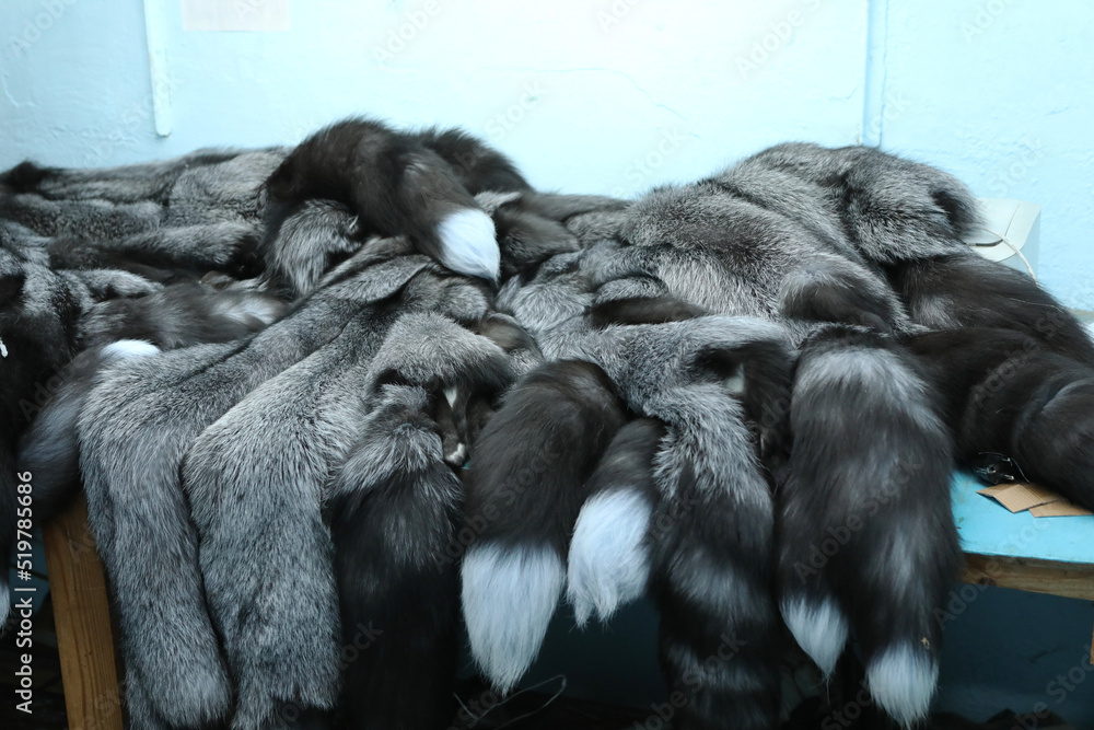 Foto de Finished skins from animals. Mink, arctic fox skins from ...