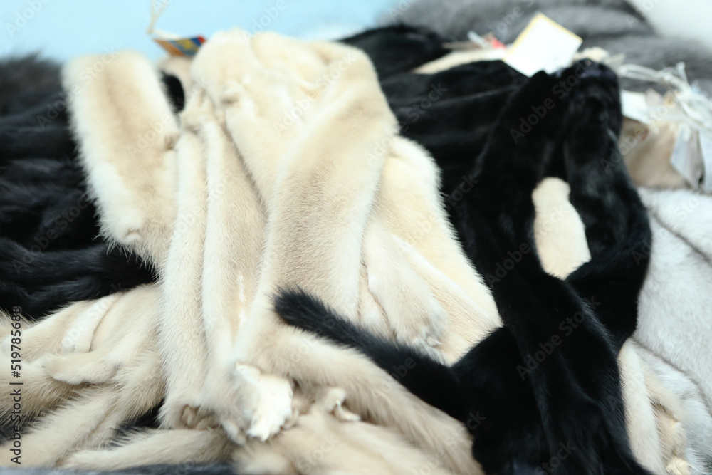 Finished skins from animals. Mink, arctic fox skins from animals. Mink ...