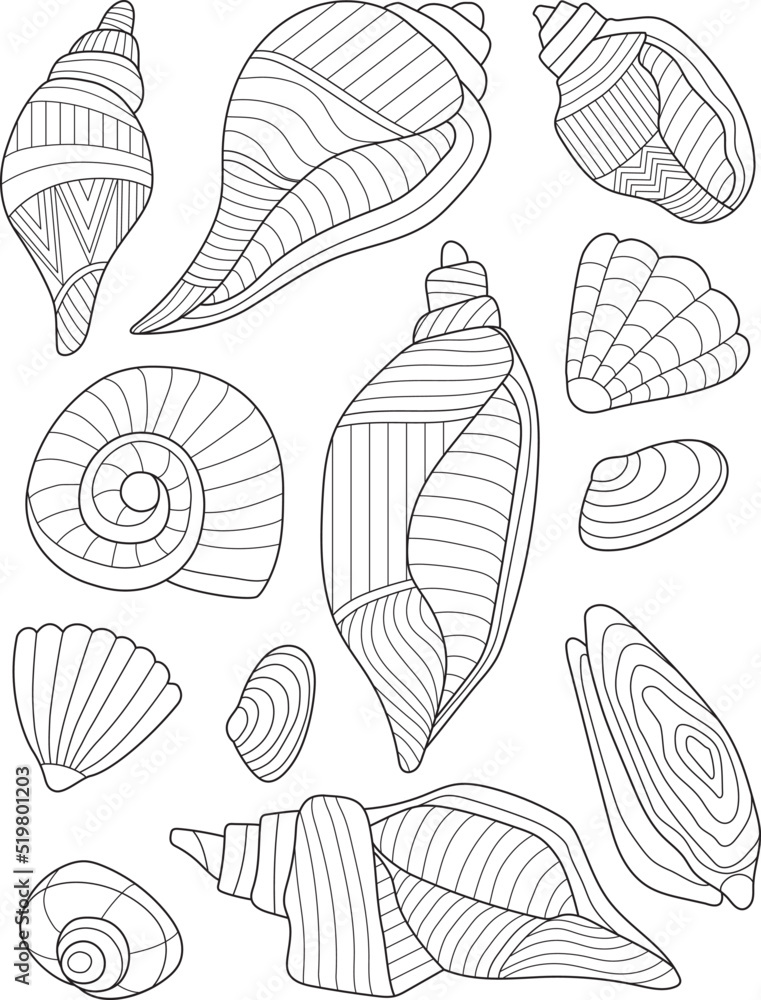 Coloring Book Page With Different Detailed Seashells. Sheet To Be ...