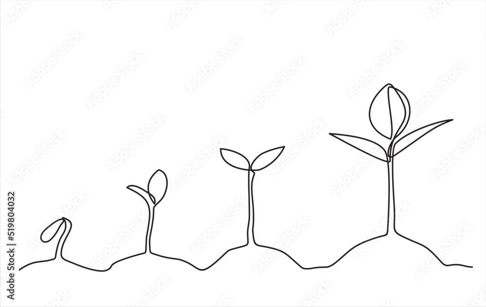 Continuous one line drawing of step of grow plant. Vector illustration ...