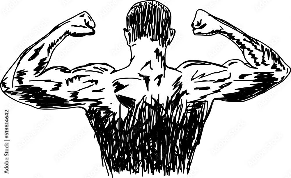 Sketch drawing of muscular man stock image, Line art illustration of ...
