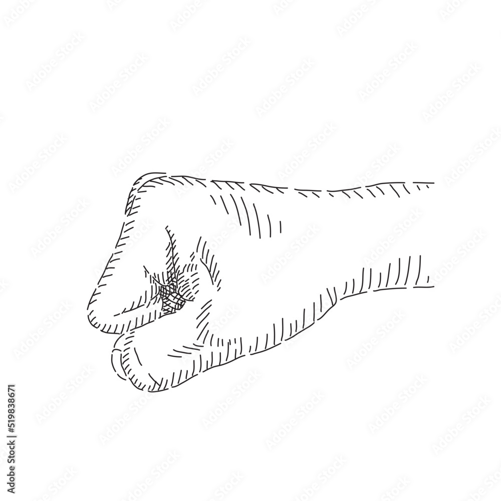 Boceto de mano haciendo puño. Dibujo de mano minimalista. Stock ベクター ...
