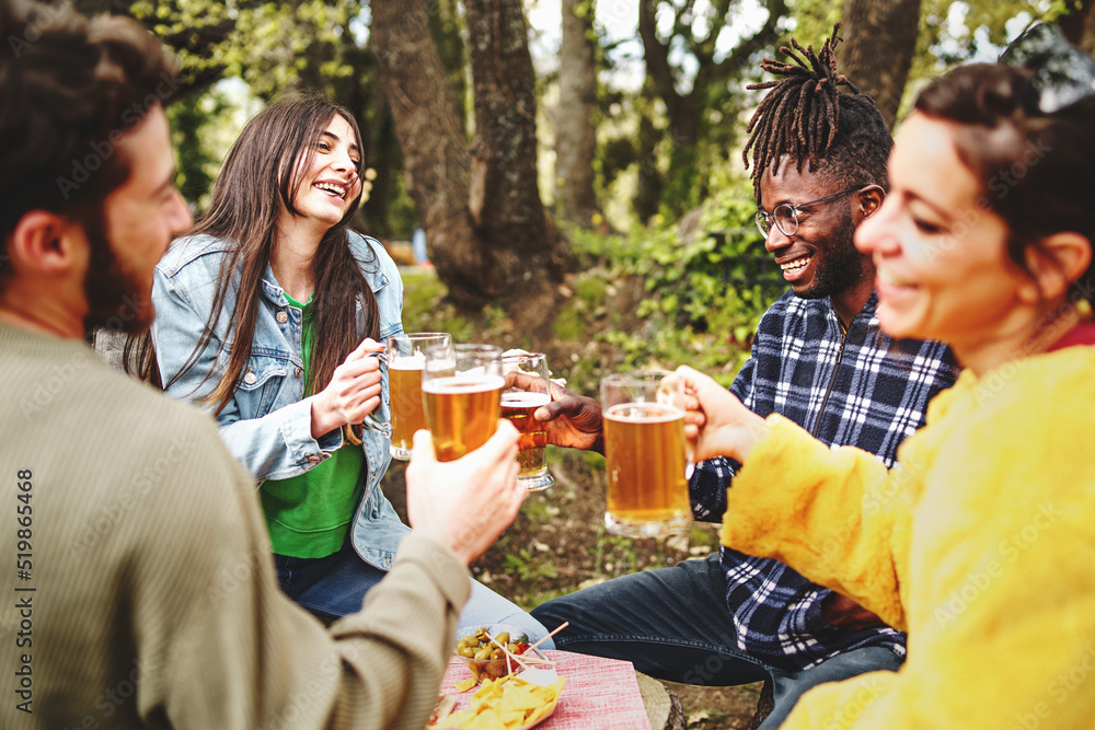 multiracial group of friends gather outside at picnic to chat and have ...