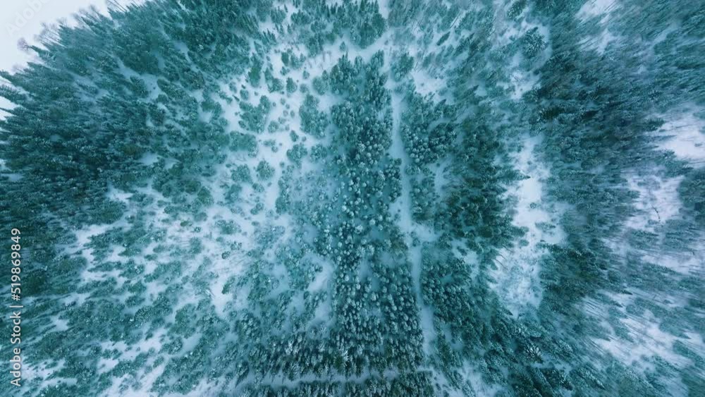 Scenic mountain forest landscape on cold winter day. Aerial overhead ...