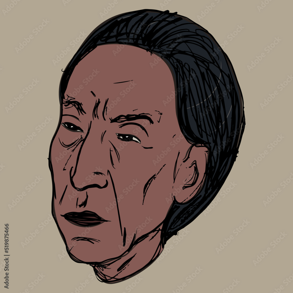 Head of a handsome Native American man. Male portrait. Face of Apache ...