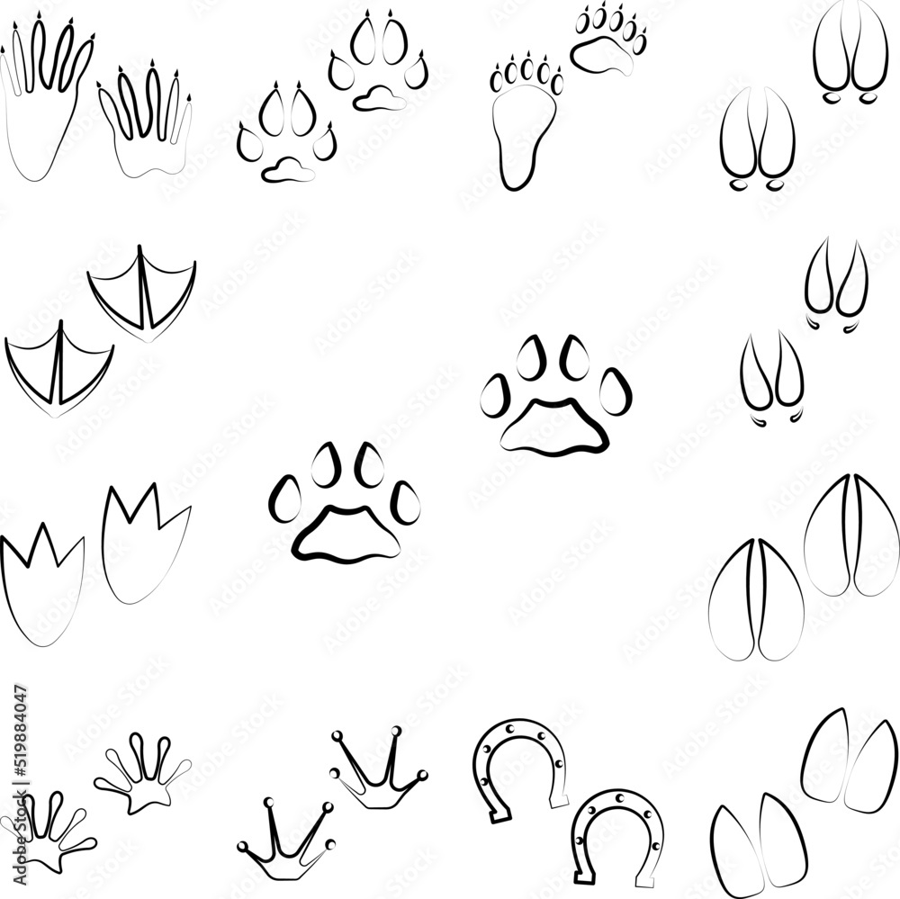 Bobcat Tracks Icon In A Collection With Other Items Stock Vector Adobe Stock