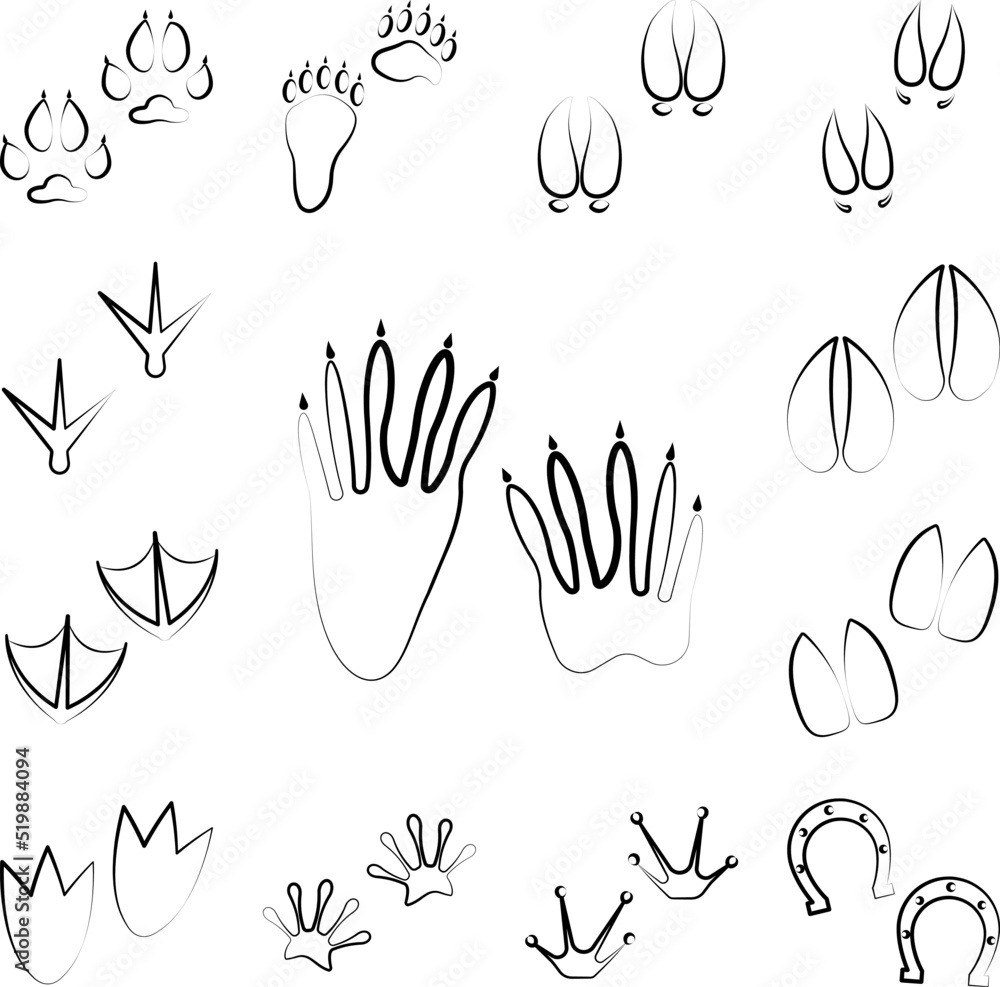 Raccoon tracks icon in a collection with other items Stock Vector ...