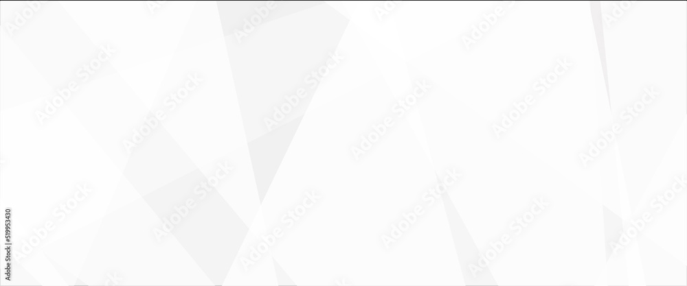 Abstract Background With Lines Grey White Abstract Stripe Background Geometry Shine And Layer