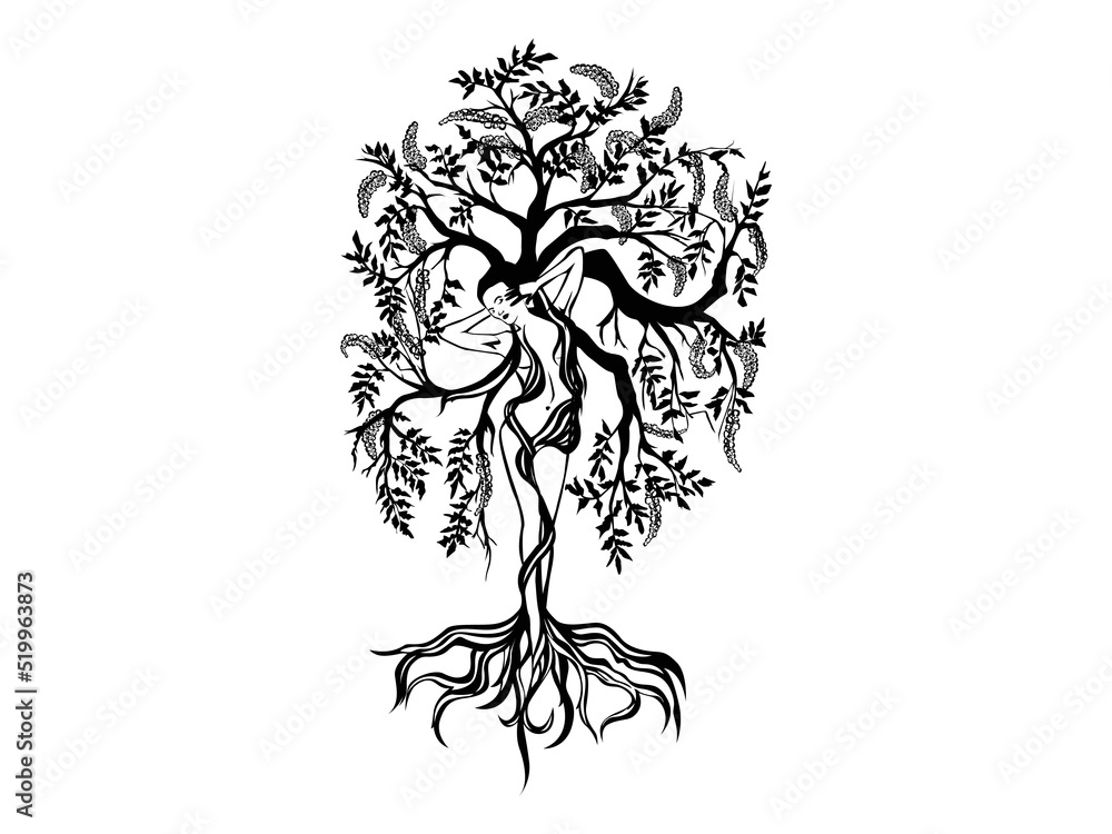 Woman Tree with Roots Icon Vector illustration. Tree with Branch Leaves ...