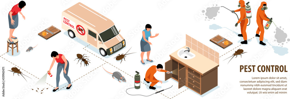 Pest Control Infographics Stock Vector | Adobe Stock