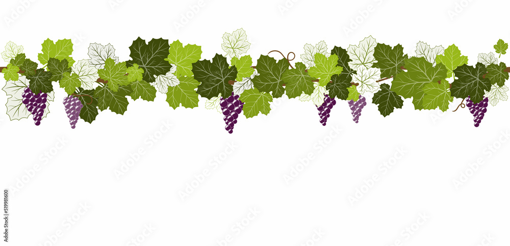 seamless border, grape border, illustration Stock Illustration | Adobe ...