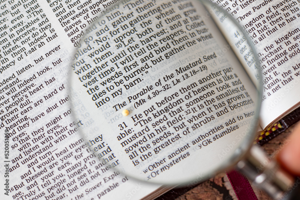 Foto de Parable of mustard seed faith biblical verses in an open Holy ...