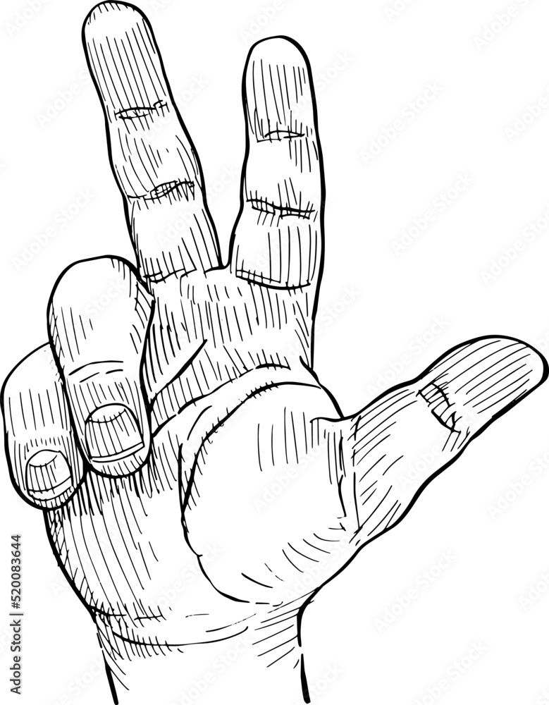 Close-up of hand showing three open fingers, number three. Hand ...