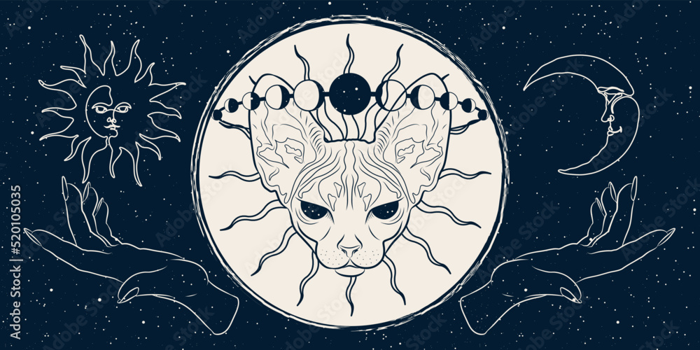 Mysterious banner with sphinx cat and moon. Vector background for ...