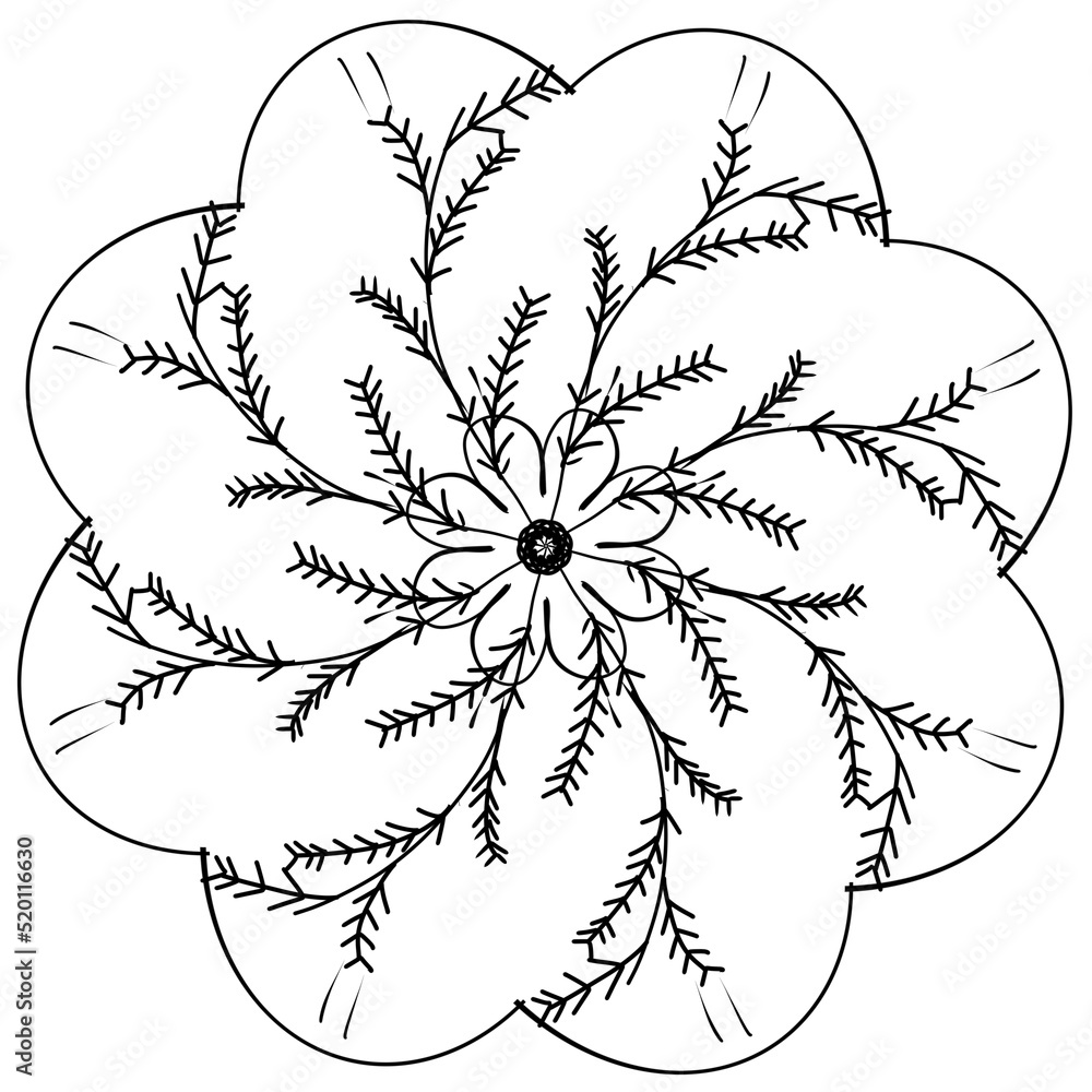 Sketch line drawing of rose isolated illustration on white background ...