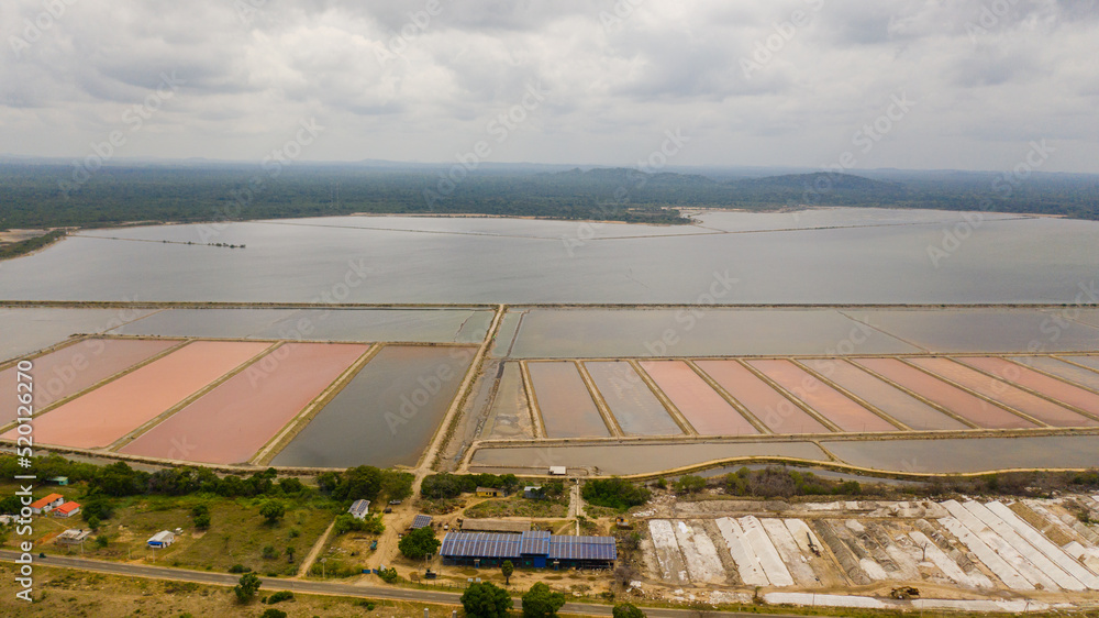 Salt extraction in Sri Lanka by evaporation in salt ponds. foto de ...