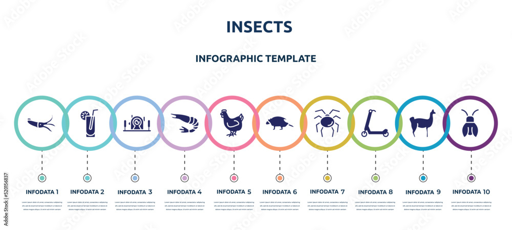 insects concept infographic design template. included squid, lemonade ...