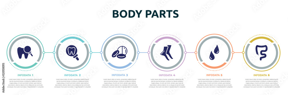 Poster body parts concept infographic design template – Wall Art ...