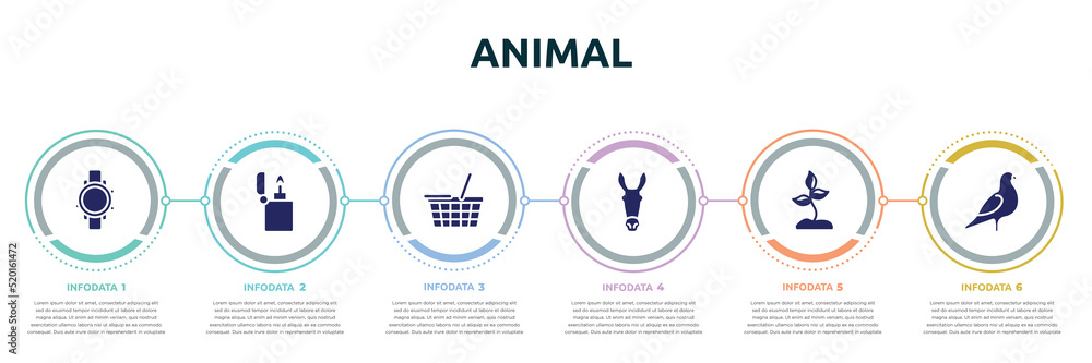 animal concept infographic design template. included diving watch ...
