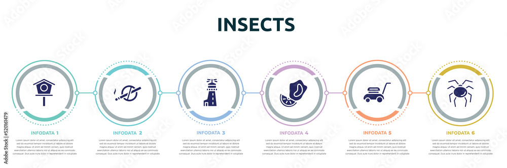 insects concept infographic design template. included birdhouse, no ...