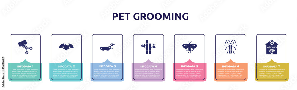 pet grooming concept infographic design template. included trimming ...