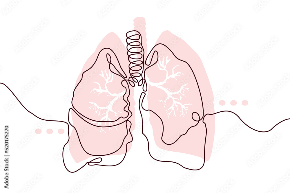 Lungs Hand drawn icon continuous line drawing. Human organs Creative ...